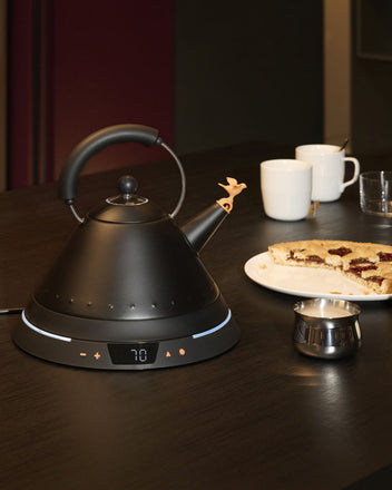 Bollitori Elettrici o a Induzione e Teiere di Design | Alessi